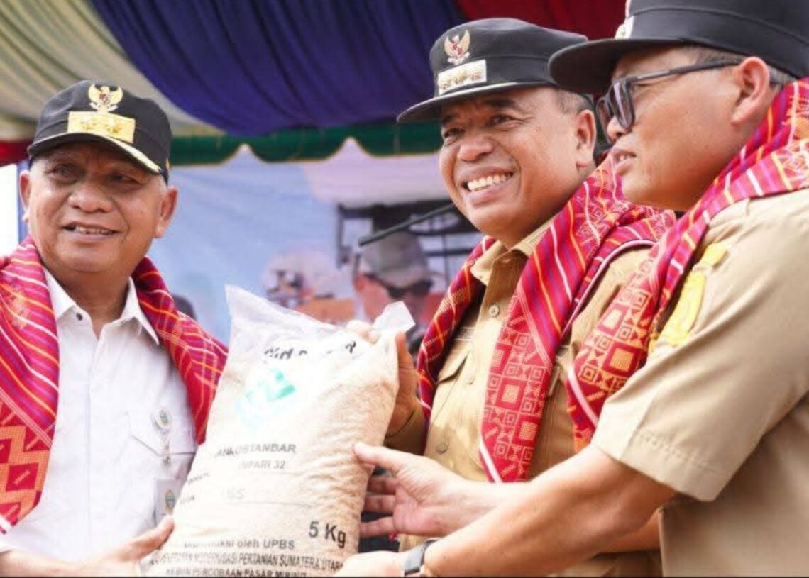 UMR 2025 Naik! Cek Daftar UMK Berlaku di Sumatera Utara: Medan Rp4 Juta ...